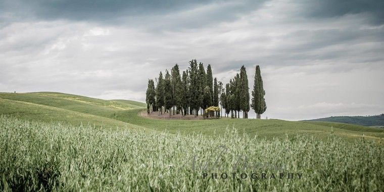 Join the Walk 50 Steps and Shoot Photo Contest and win CustomSLR Mount ...